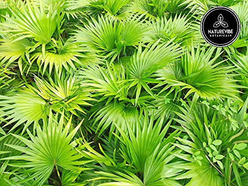 cold pressed pumpkin seed oil extract