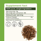 Coleus Forskohlii root extract benefits