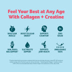 Collagen and creatine for muscle support