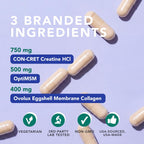 Collagen and MSM for recovery