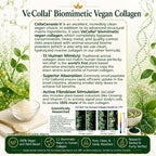 collagen blend for healthy joints