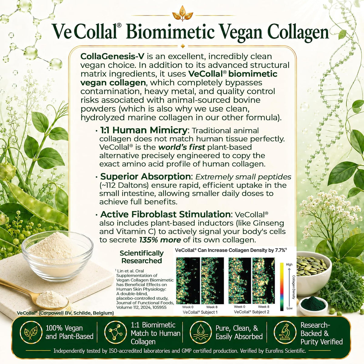 collagen blend for healthy joints