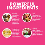 collagen capsules for joint health