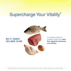 collagen complete powder for daily nutrition