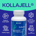 collagen for cognitive support