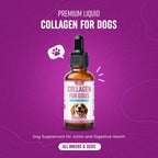 collagen for dogs skin support