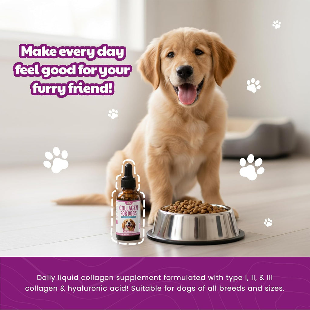 collagen for dogs with allergies