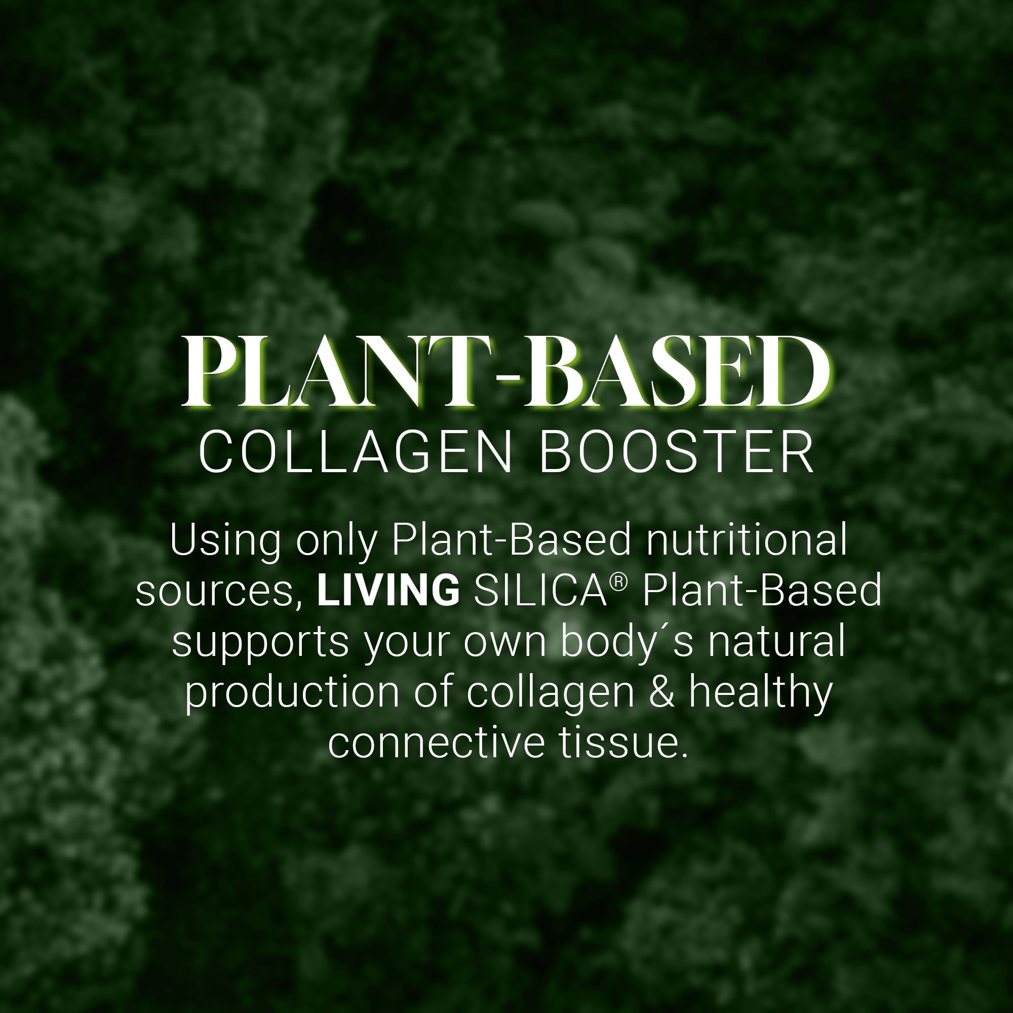 collagen formula for overall wellness
