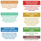 collagen gummies alternative supplement