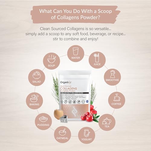 collagen gummies for daily use