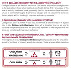 collagen gummies for daily wellness