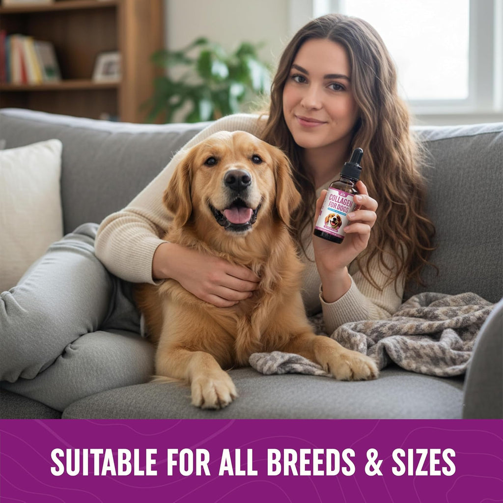 collagen gummies for dog wellness