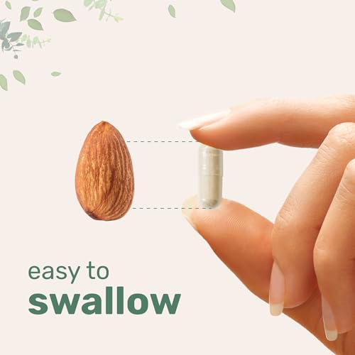collagen gummies for easy intake