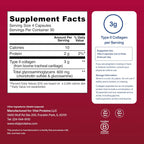 collagen peptides for active lifestyle