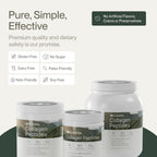 collagen peptides for beauty routine