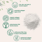 collagen peptides for beauty routine