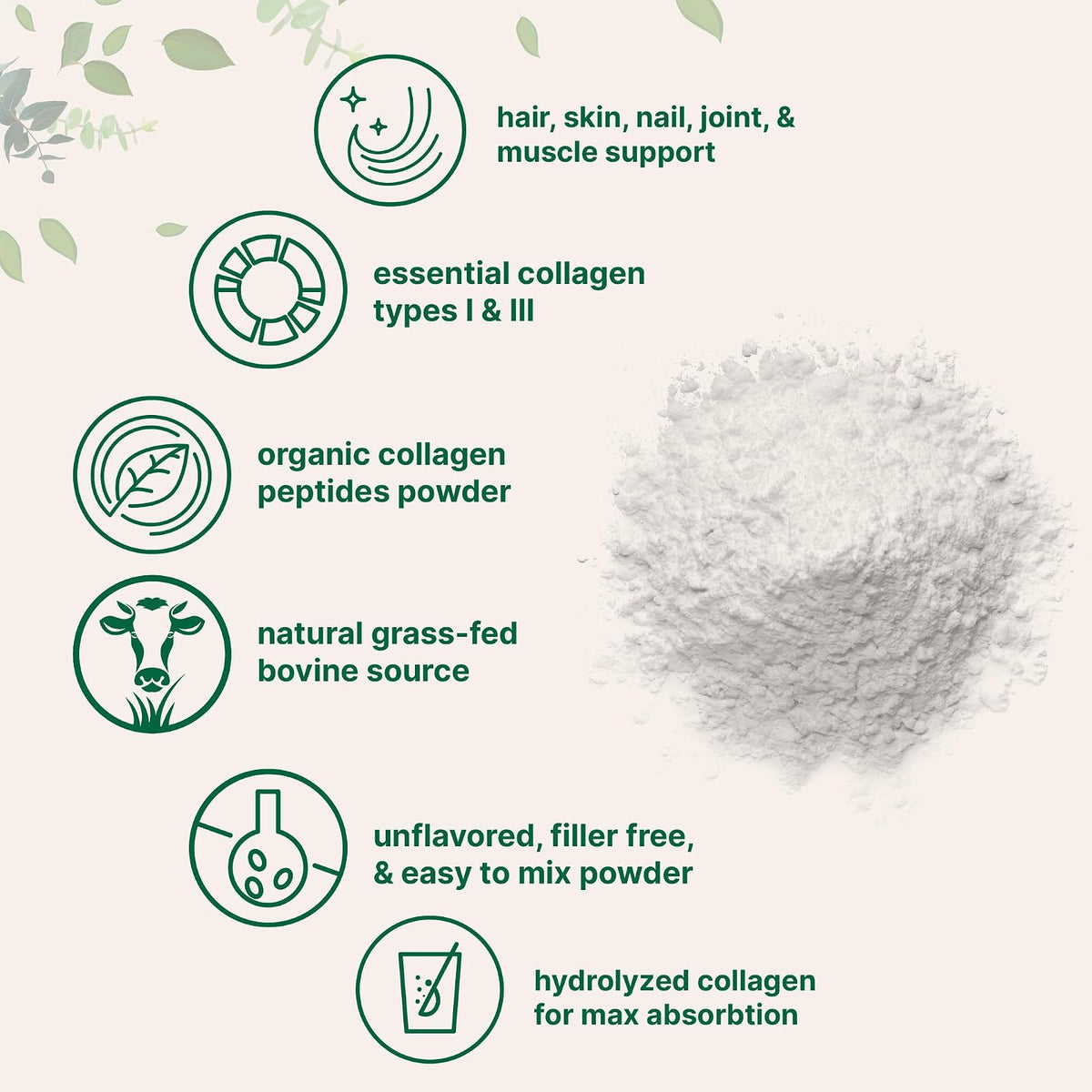 collagen peptides for beauty routine