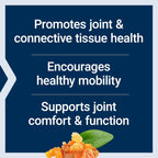 collagen peptides for better mobility