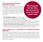 collagen peptides for healthy skin