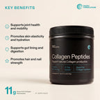 collagen peptides for improved digestion