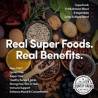 collagen peptides for improved elasticity