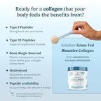 collagen peptides for improved elasticity