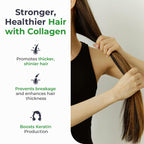 collagen peptides for improved elasticity