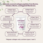 collagen peptides for joint support