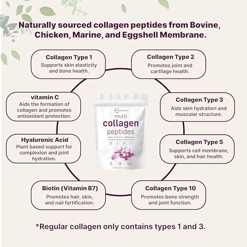 collagen peptides for joint support