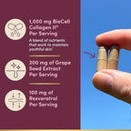 collagen peptides for joint support