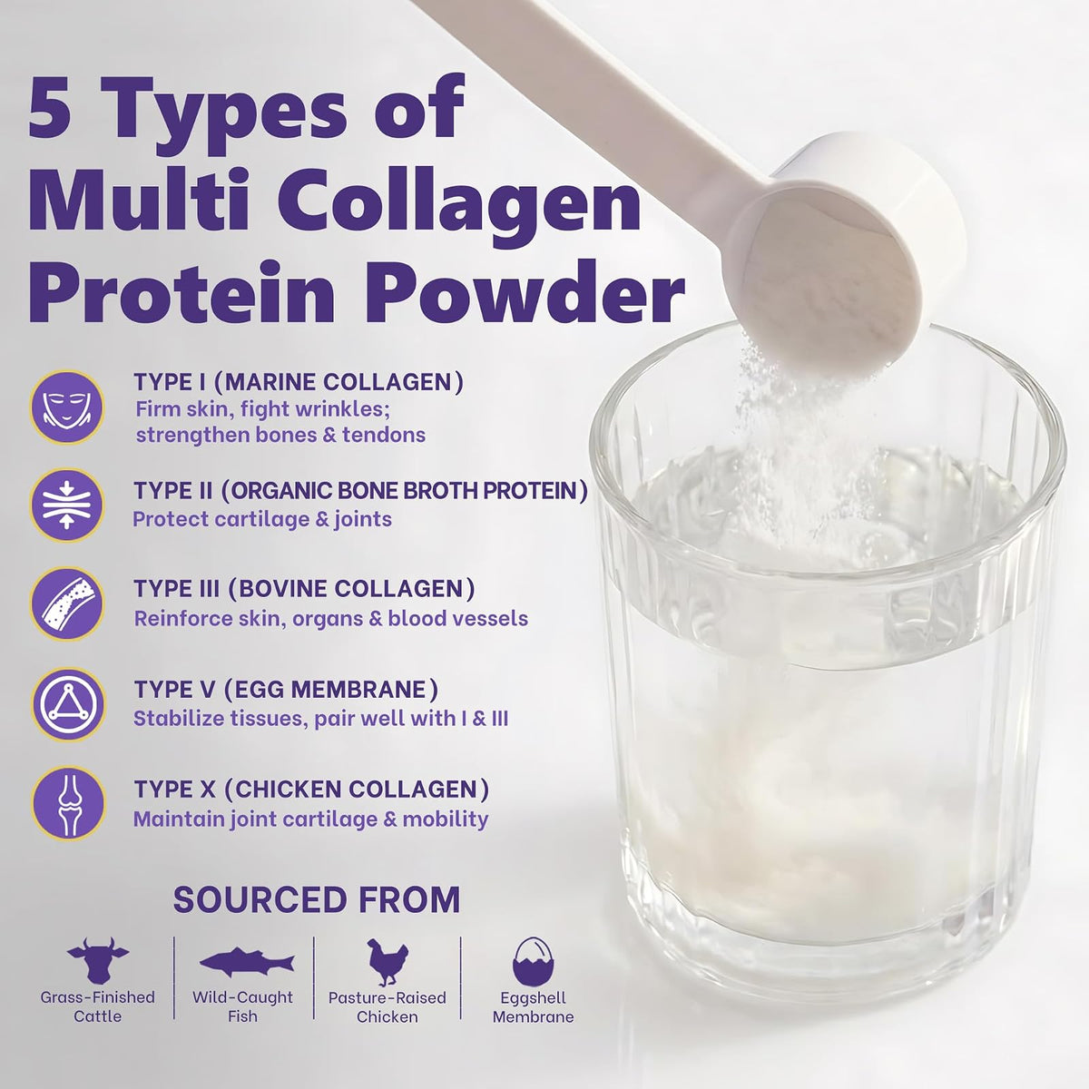 collagen peptides for joint support