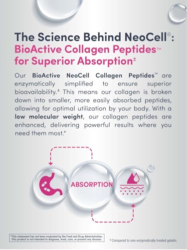collagen peptides for joint support