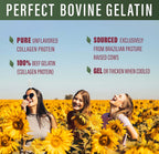 collagen peptides for joint support