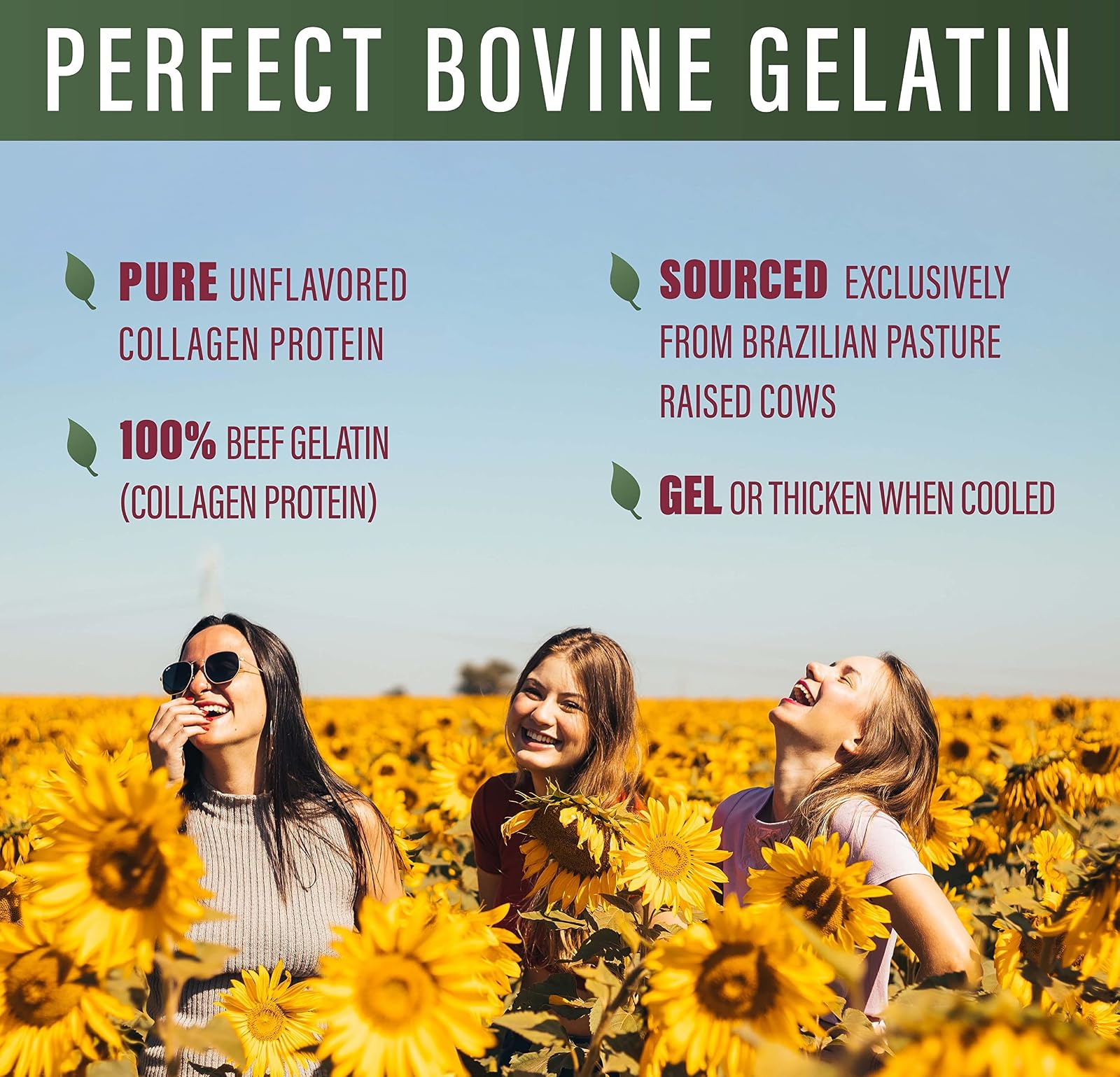collagen peptides for joint support