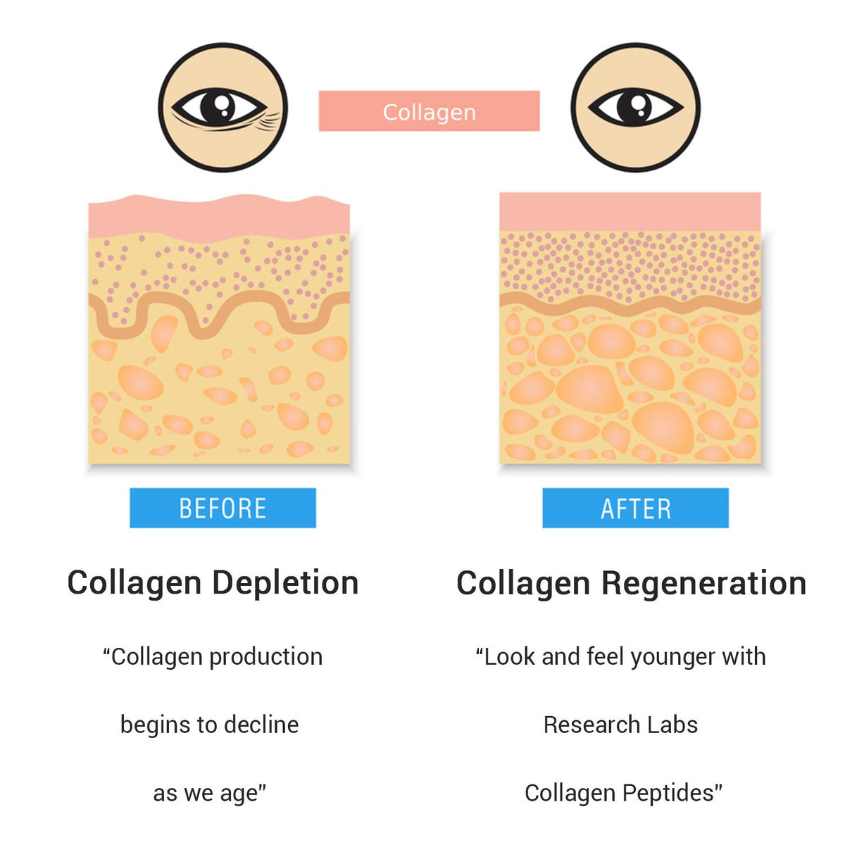 collagen peptides for joint support