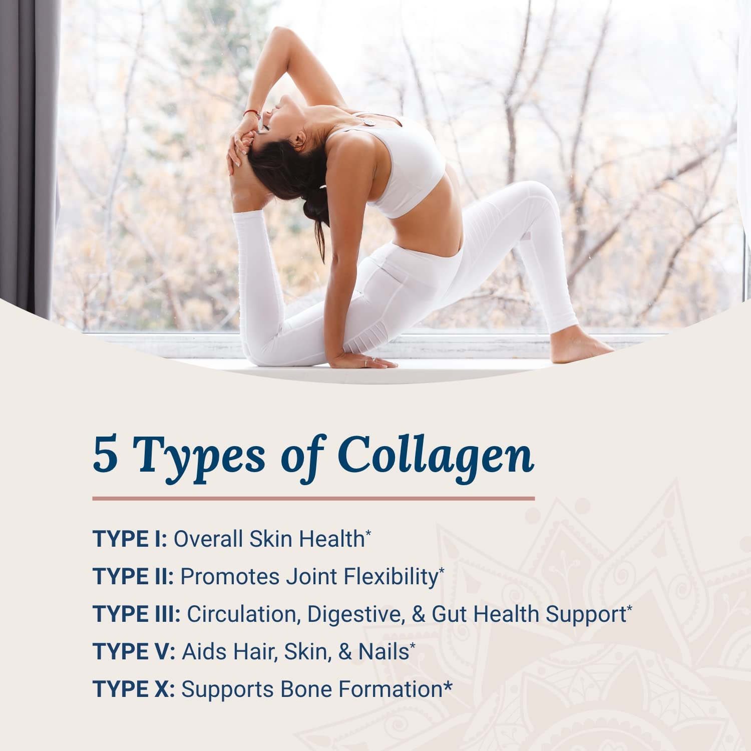 collagen peptides for joint support