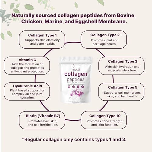 collagen peptides for joint support