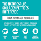 collagen peptides for joint support