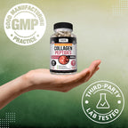 collagen peptides for joint support