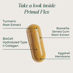 collagen peptides for joint support