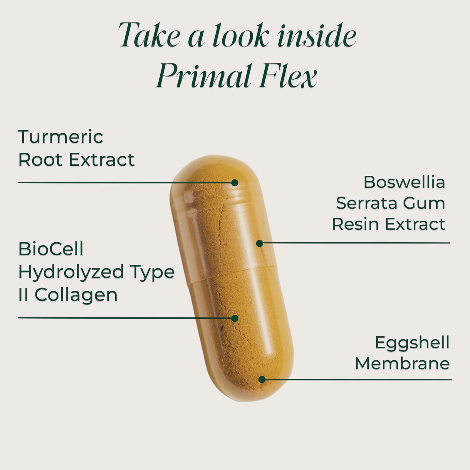 collagen peptides for joint support
