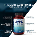 collagen peptides for joint support