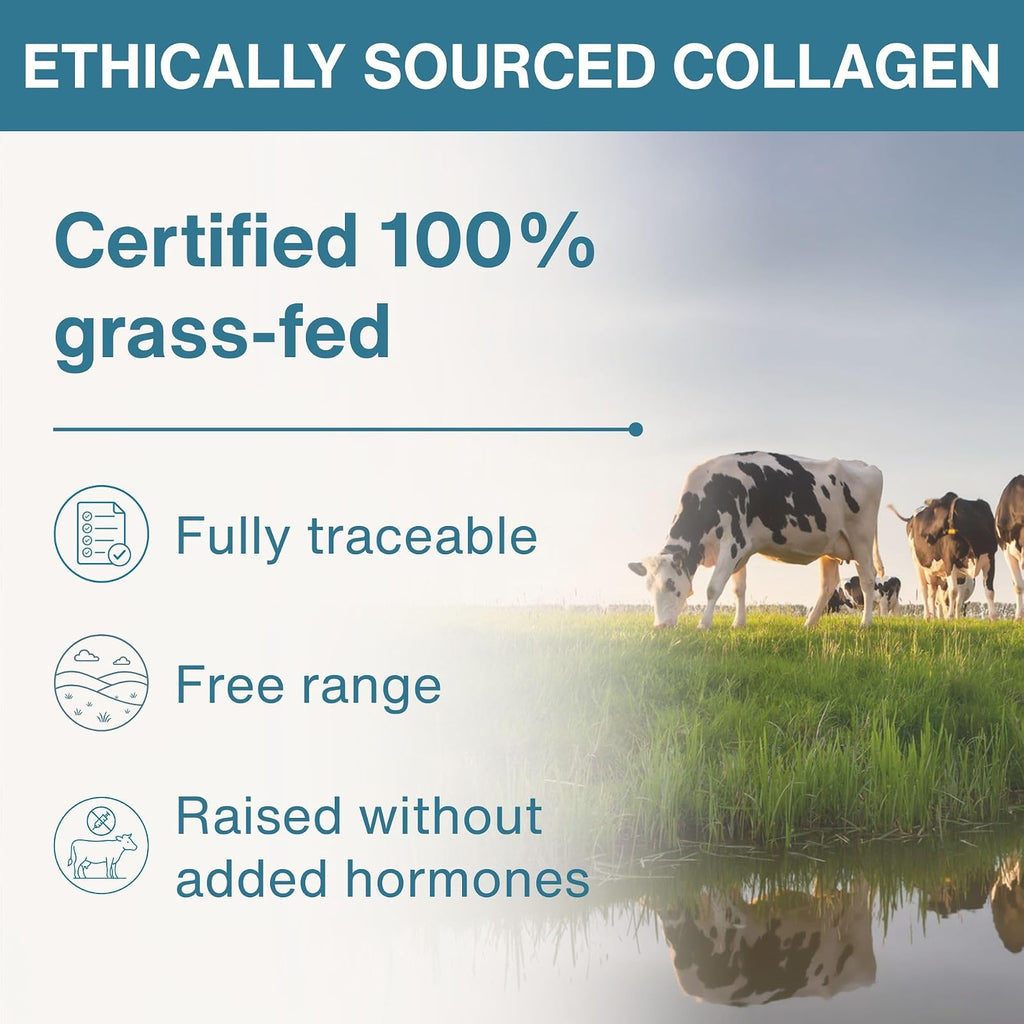 Collagen peptides for joint support