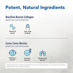 collagen peptides for joint support