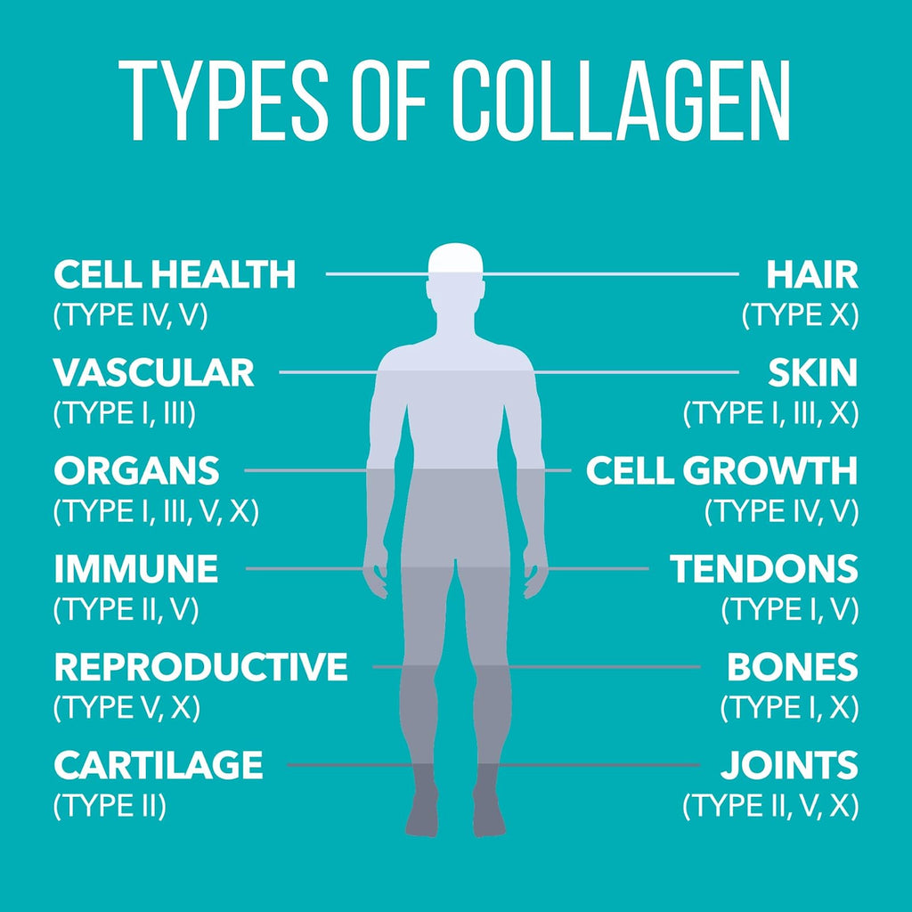 collagen peptides for joint support