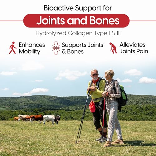 collagen peptides for joint support