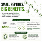 collagen peptides for joint support