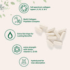 collagen peptides for joint support