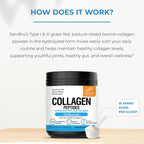 Collagen peptides for muscle recovery