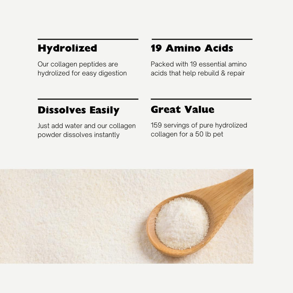 collagen peptides for muscle recovery
